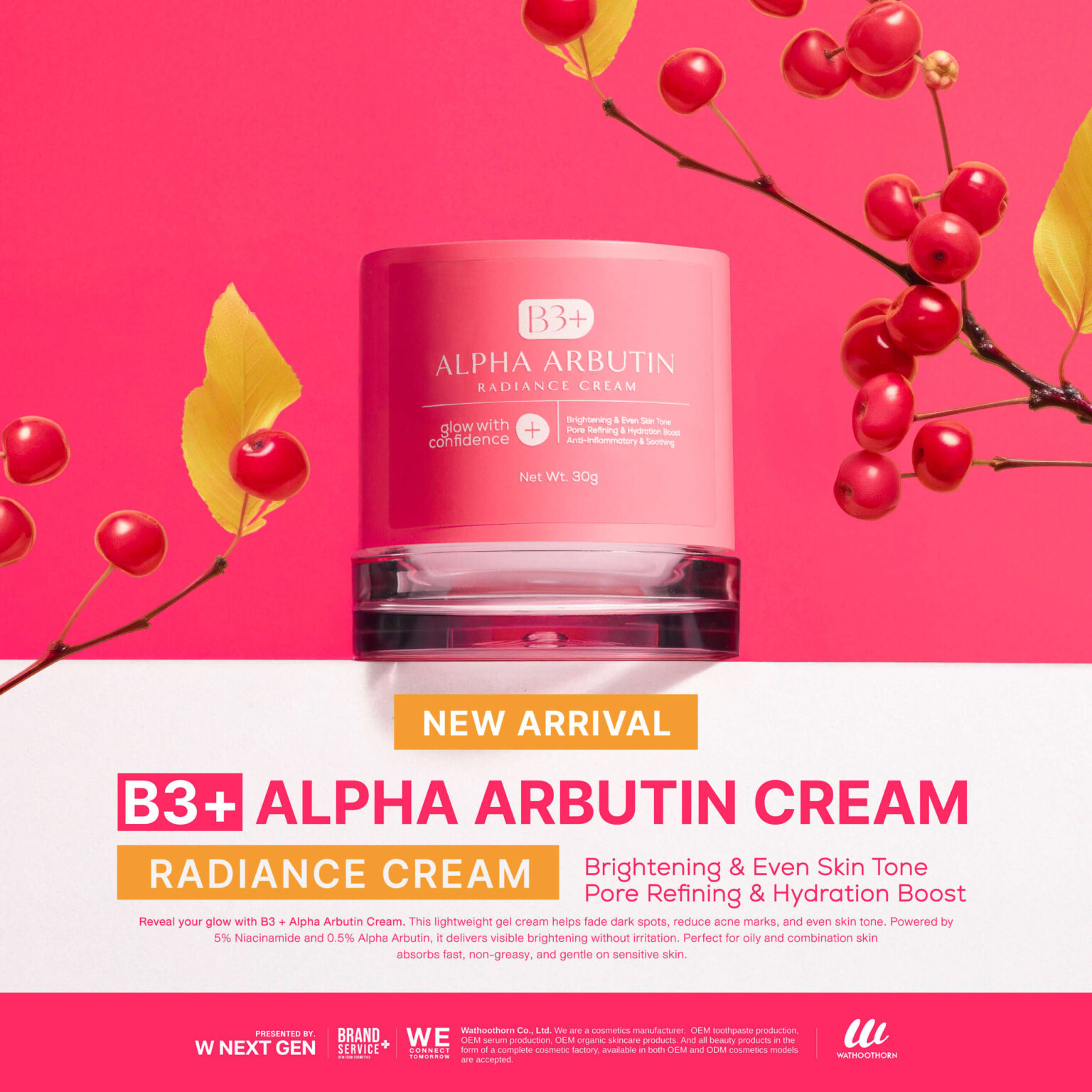 B3+ALPHA ARBUTIN CREAM - Watoothorn cream factory