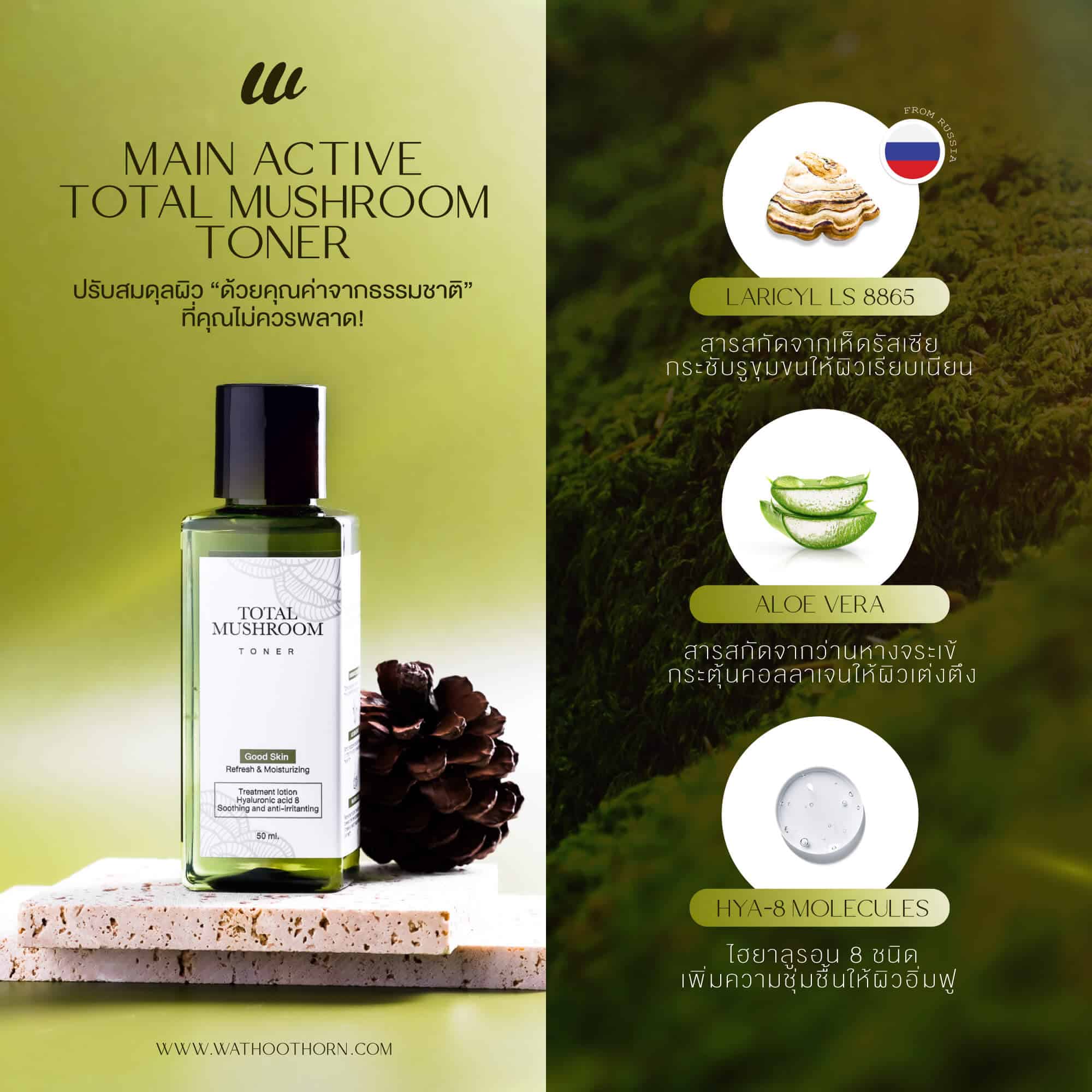 TOTAL MUSHROOM TONER