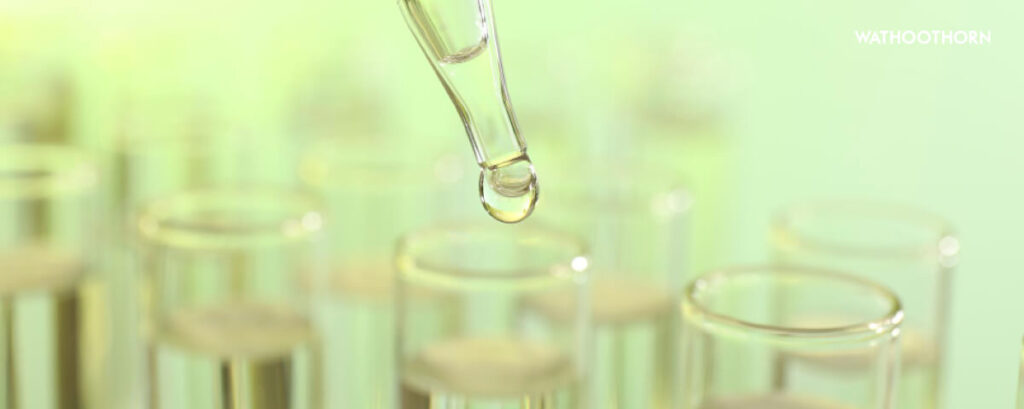 Clean beauty คืออะไร และ Green Formulation สายแบรนด์บิวตี้ต้องรู้จัก